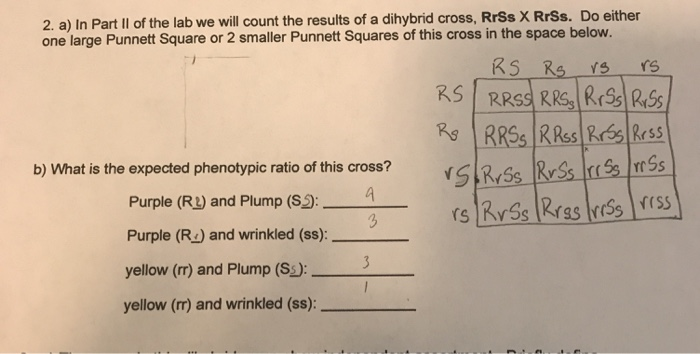 Solved 2. a) In Part II of the lab we will count the results | Chegg.com