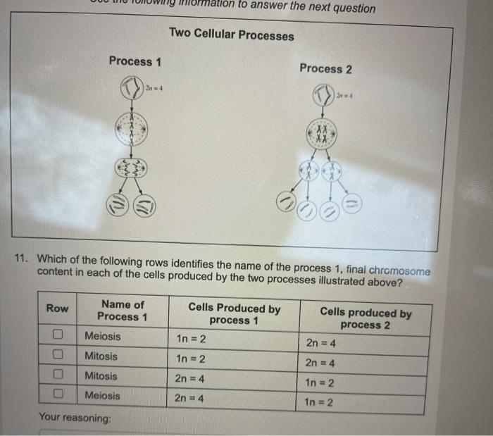 Solved to answer the next question Two Cellular Processes | Chegg.com