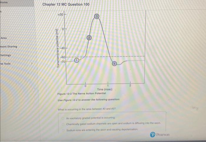 Solved Chapter 12 MC Question 100 Figure 12-2 The Nerve | Chegg.com