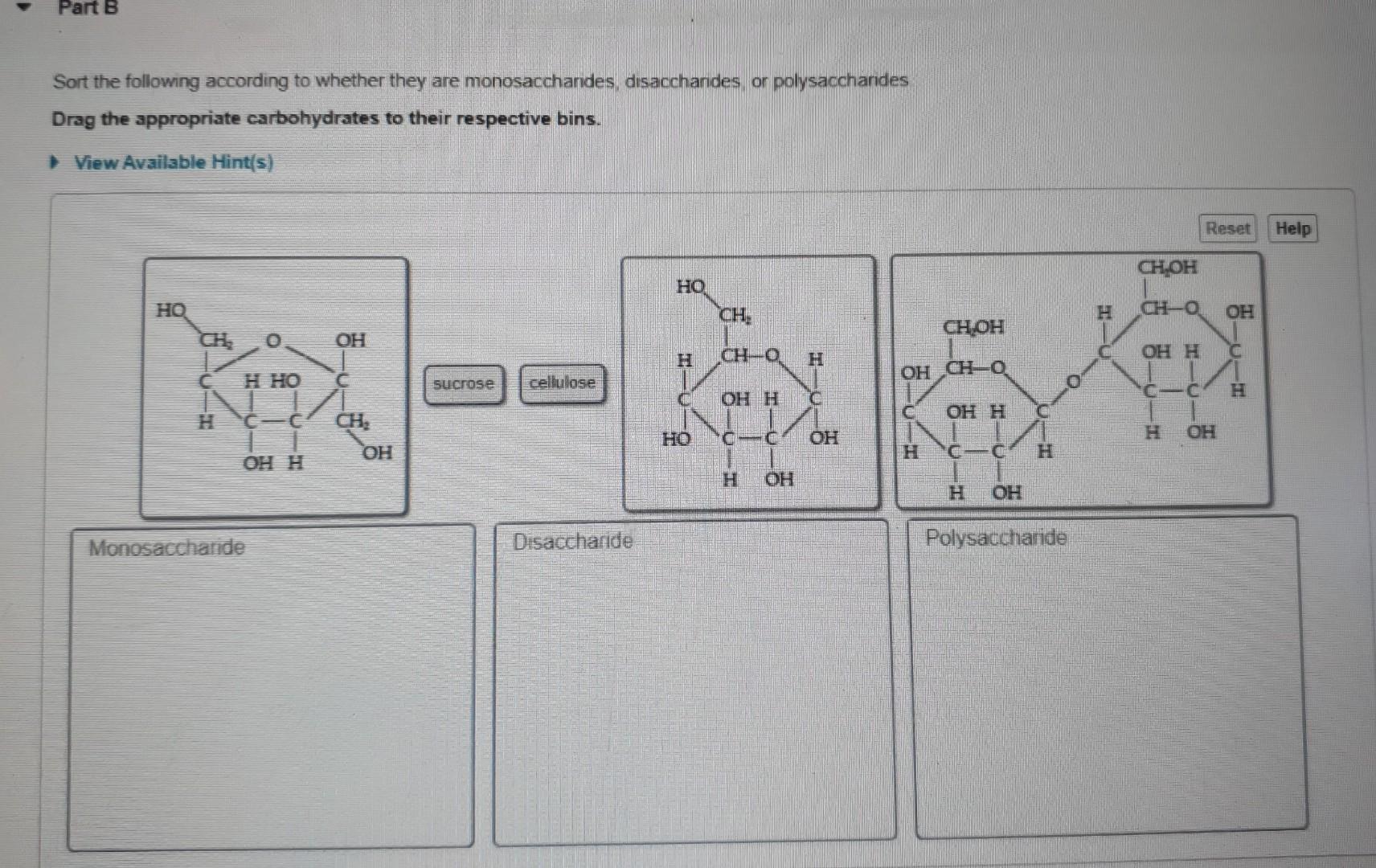 Solved Sort the following according to whether they are | Chegg.com