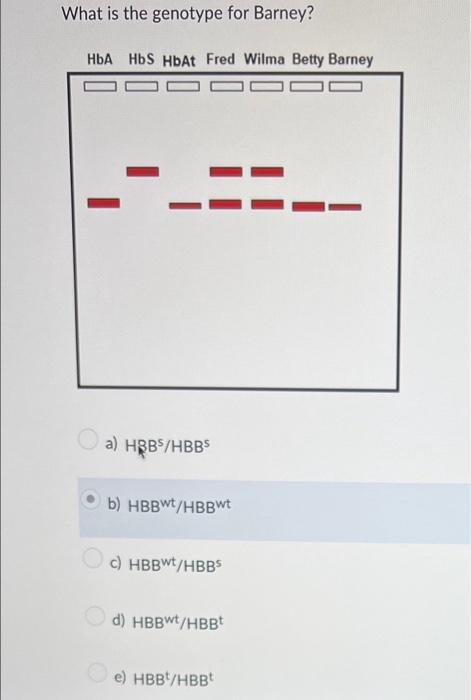 Solved What is the genotype for Barney? a) HBB/B5/HB5 b) | Chegg.com