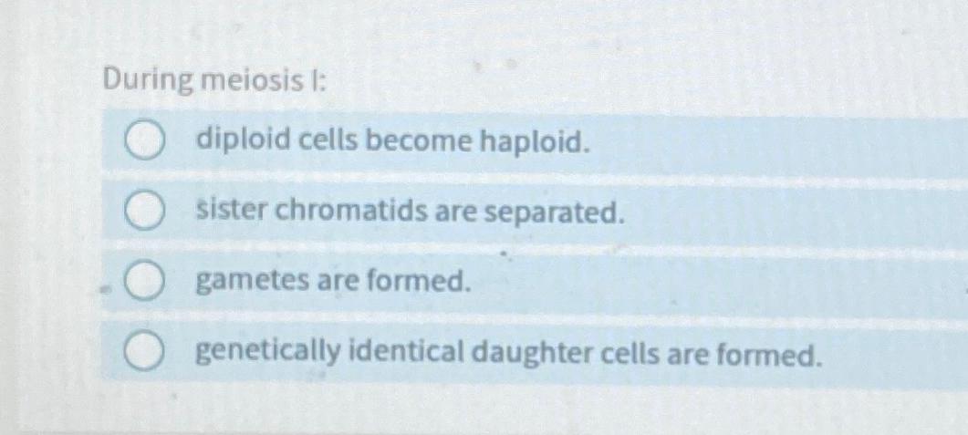 Solved During meiosis 1:diploid cells become haploid.sister | Chegg.com