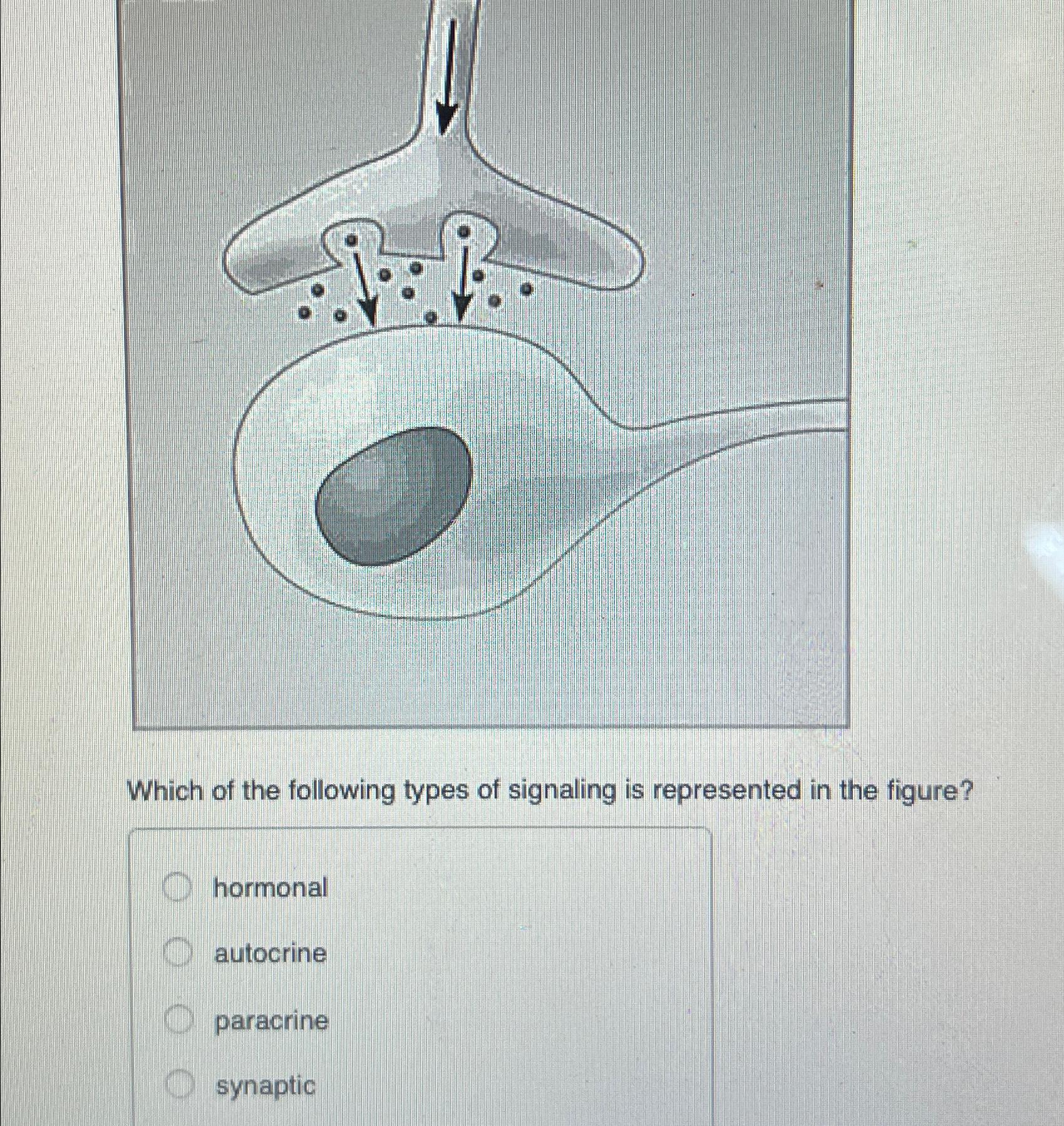 Solved Which of the following types of signaling is | Chegg.com