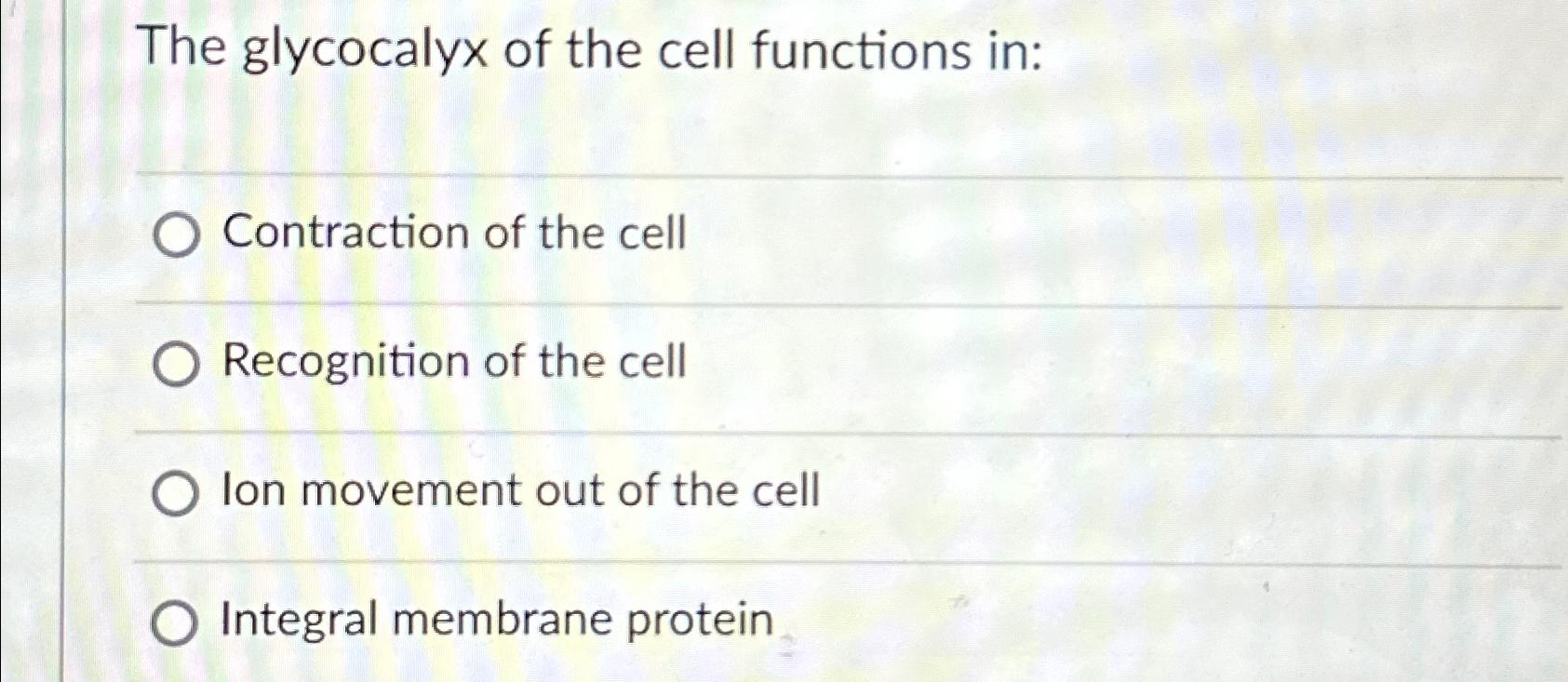 Solved The glycocalyx of the cell functions in:Contraction | Chegg.com