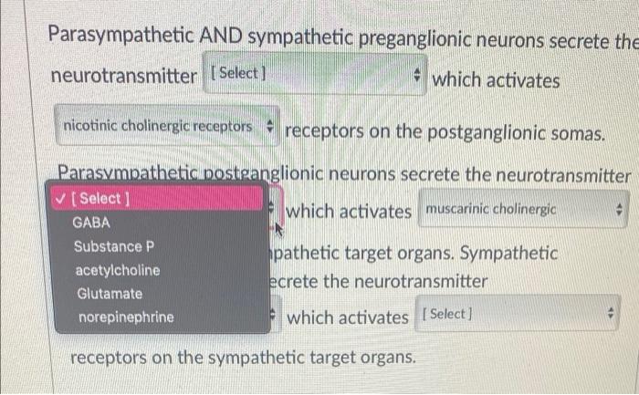 Solved Parasympathetic AND sympathetic preganglionic neurons | Chegg.com