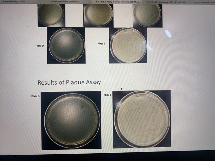 Solved Results of Plaque Assay Plate A Plate B Platec Plate | Chegg.com