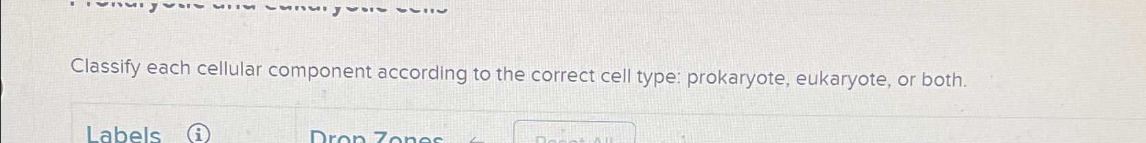 Solved Classify each cellular component according to the | Chegg.com