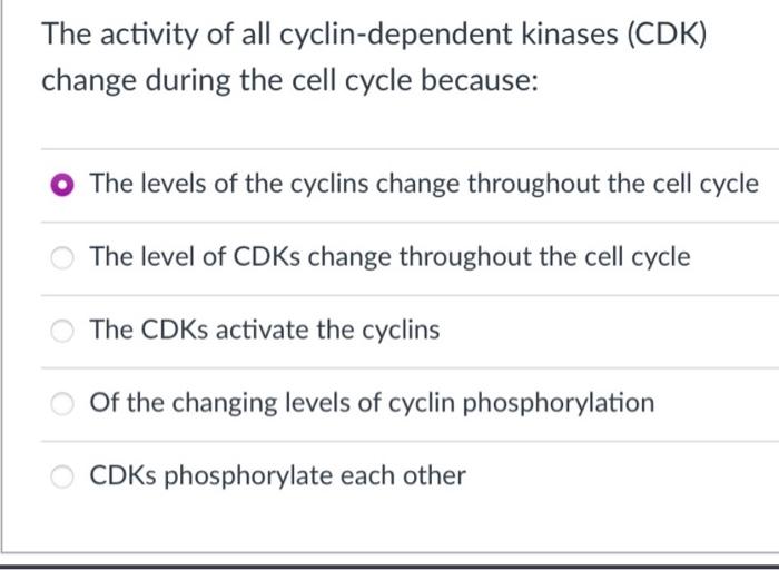 Solved The activity of all cyclin-dependent kinases (CDK) | Chegg.com