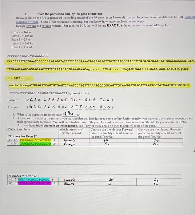 Solved I. Create the primers to amplify the gene of | Chegg.com