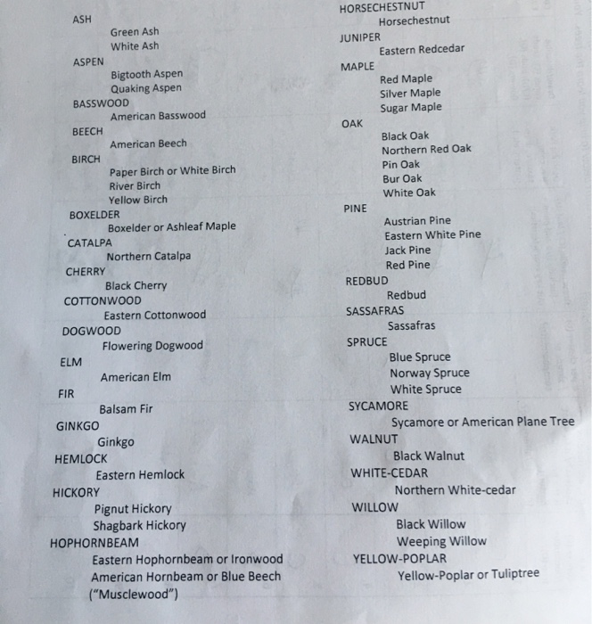 Solved The first picture shows the tree I’m trying to | Chegg.com