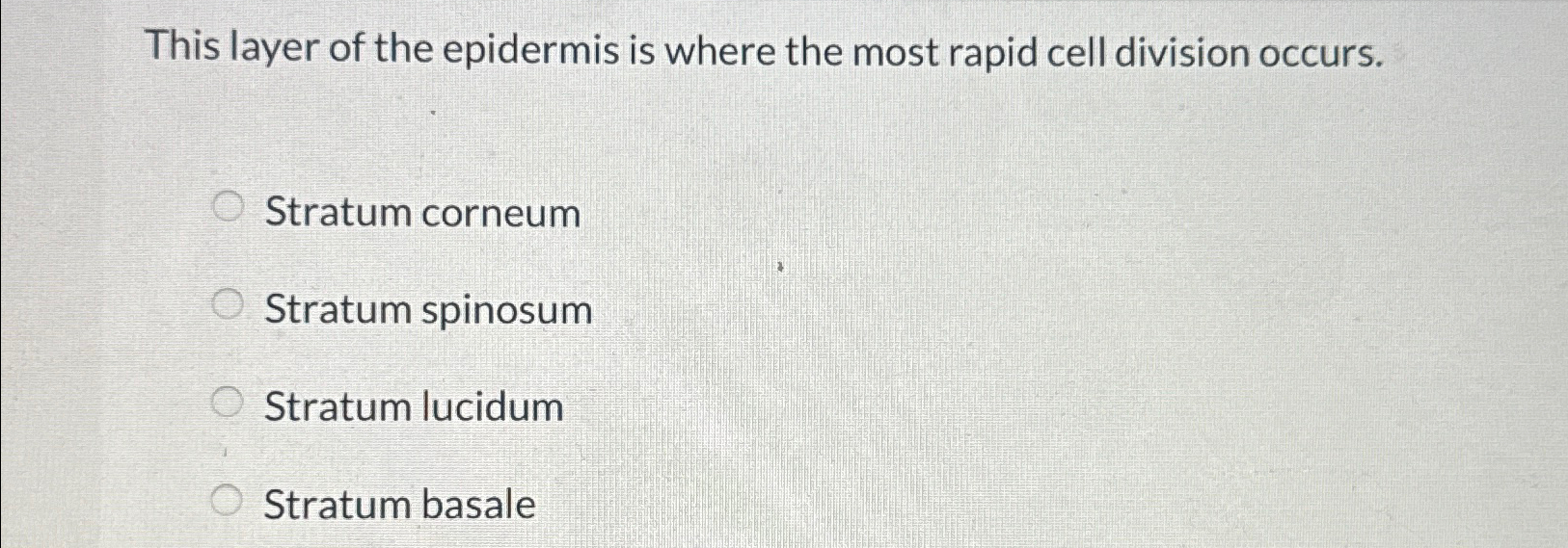 Solved This layer of the epidermis is where the most rapid | Chegg.com
