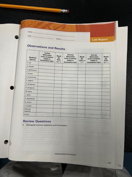 Solved Observations and Results Review Questions 1. | Chegg.com