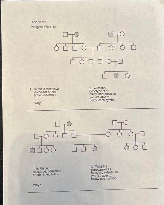 Solved Pedigrees In order to study patterns of human | Chegg.com