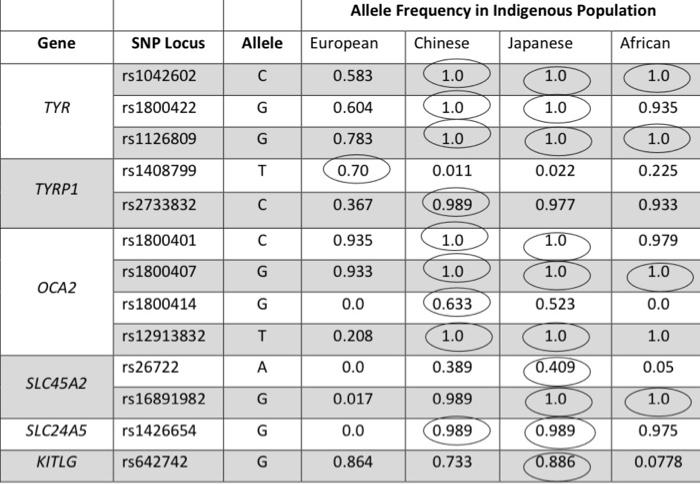 Solved You are developing an ancestry SNP chip using FIVE of | Chegg.com