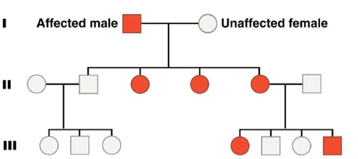Solved What type of inheritance is shown in the pedigree | Chegg.com