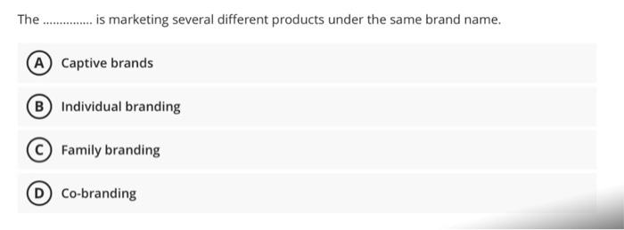 Solved The .......... is marketing several different | Chegg.com