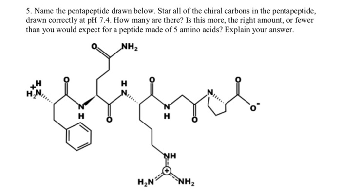 Solved 5. Name the pentapeptide drawn below. Star all of the | Chegg.com