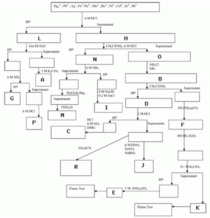 Modern identification of cations include | Chegg.com