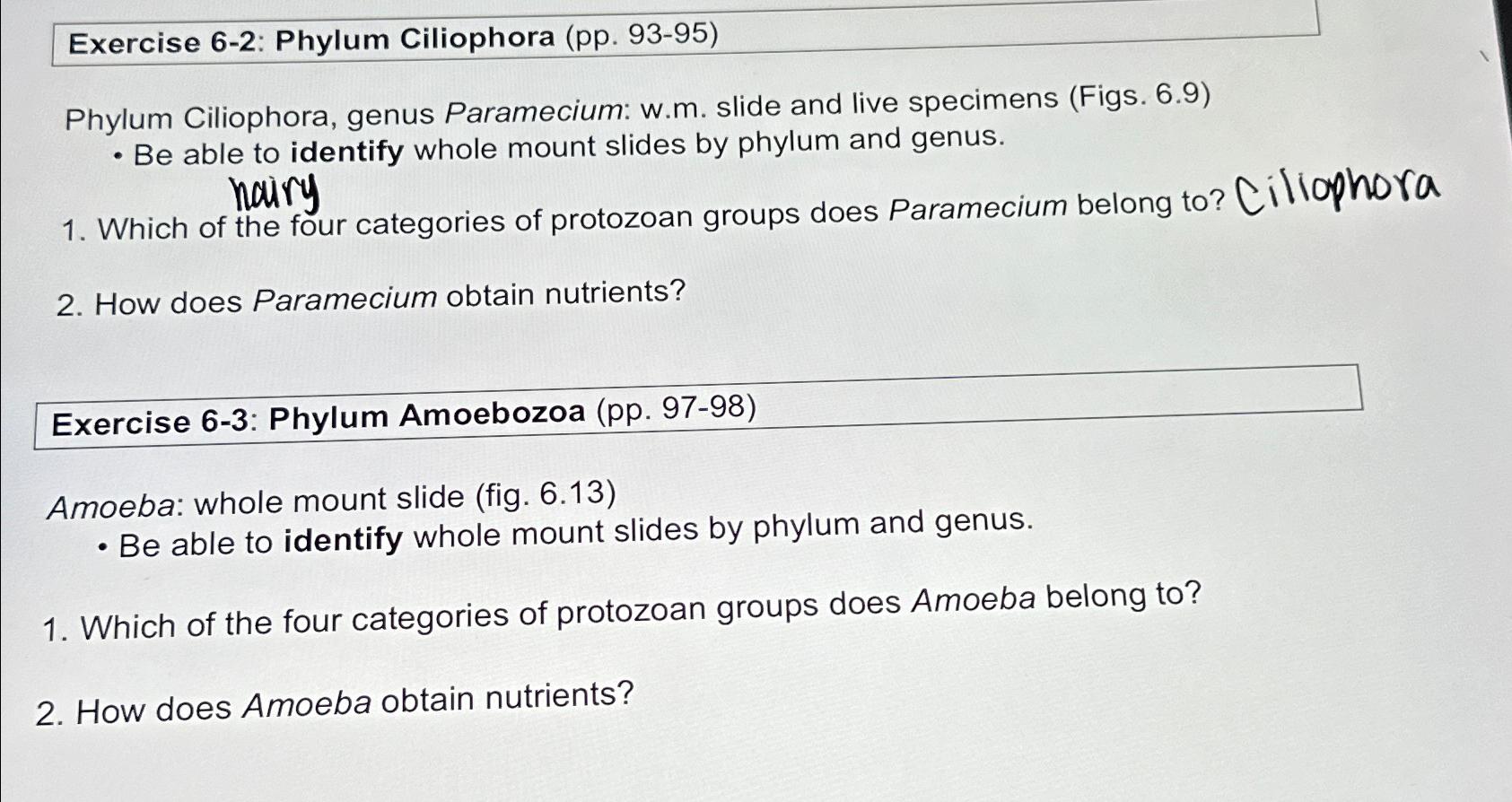 Solved Exercise 6-2: Phylum Ciliophora (pp. 93-95)Phylum | Chegg.com