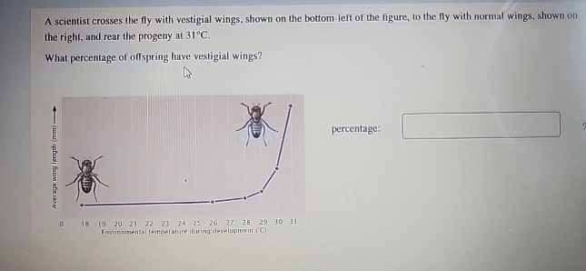 Solved A scientist crosses the fly with vestigial wings, | Chegg.com