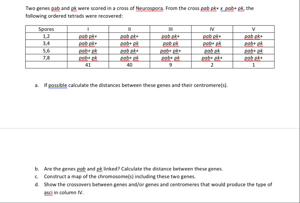 Solved Two genes pab and pk were scored in a cross of | Chegg.com