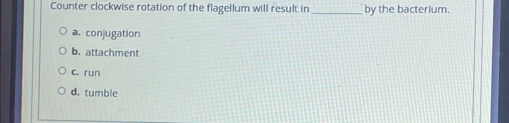 Solved Counter clockwise rotation of the flagellum will | Chegg.com