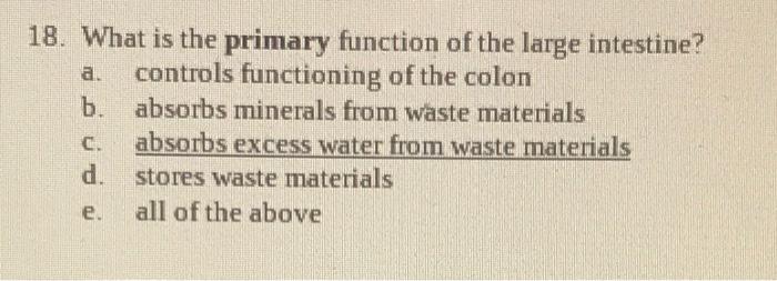 Solved 18. What is the primary function of the large | Chegg.com