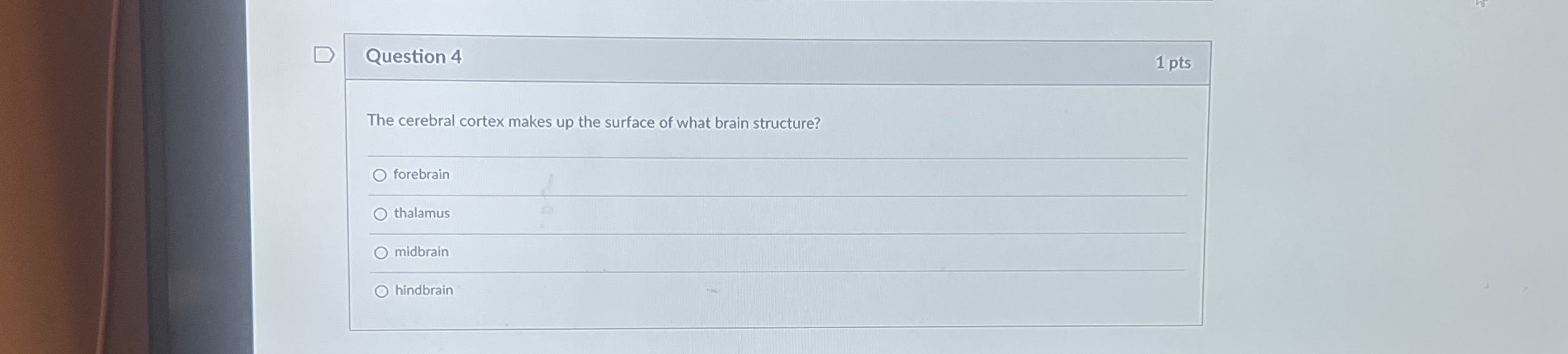 Solved Question 41 ﻿ptsThe cerebral cortex makes up the | Chegg.com