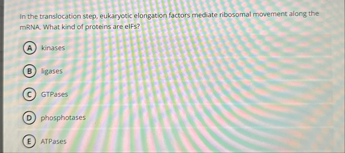 Solved In the translocation step, eukaryotic elongation | Chegg.com