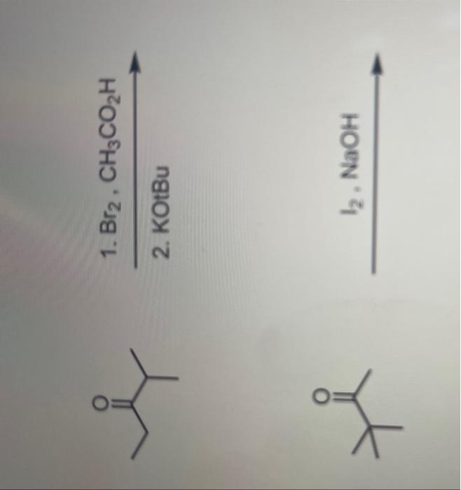 Solved 2. KOtBu 1. Br2,CH3CO2H | Chegg.com