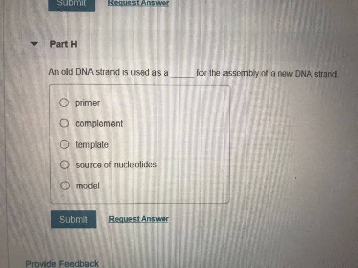 Solved Part A Short segments of newly synthesized DNA are | Chegg.com
