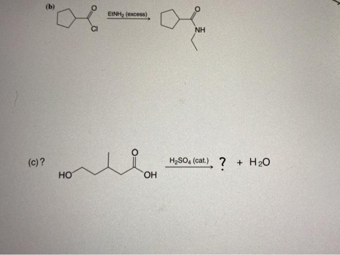 Solved (b) EtNH2 (excess). CI NH (c) ? H2SO4 (cat.) 1) ? + | Chegg.com