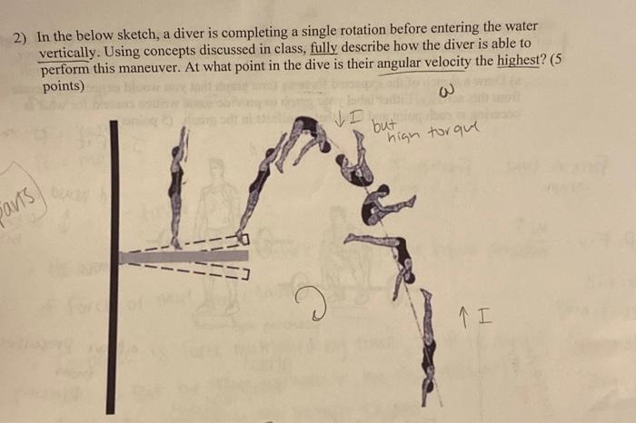 Solved 2) In the below sketch, a diver is completing a | Chegg.com