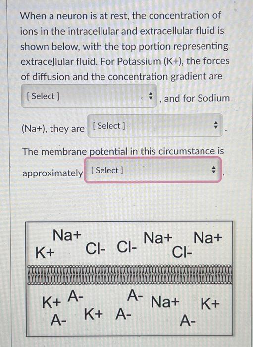 Solved first two drop downs say balanced/unbalanced third | Chegg.com