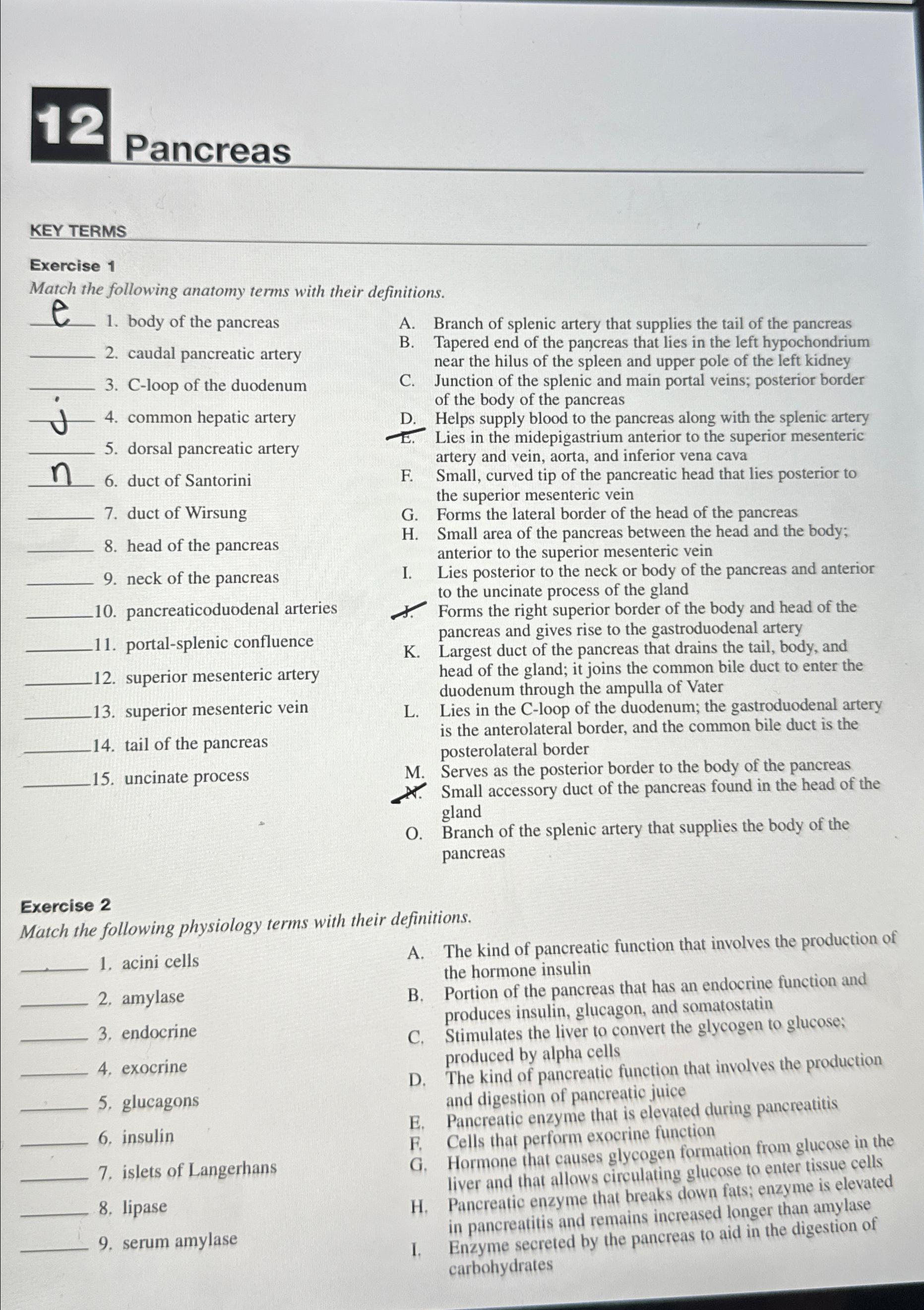 Solved PancreasKEY TERMSExercise 1Match the following | Chegg.com