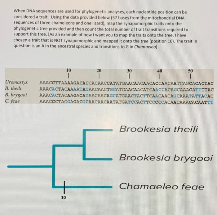 Solved When DNA sequences are used for phylogenetic | Chegg.com