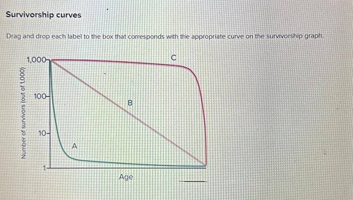 Solved Age Drag and drop each label to the box that | Chegg.com