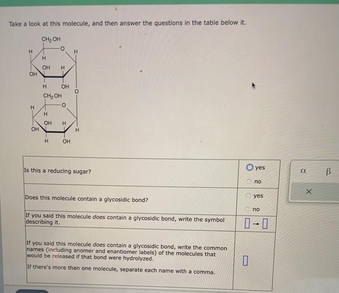 Solved Take a look at this molecule, and then answer the | Chegg.com