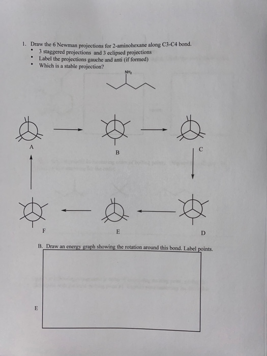 Solved 1. Draw the 6 Newman projections for 2-aminohexane | Chegg.com