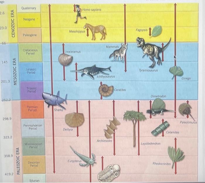 Solved Fig. D. Using Fig. C as reference, determine the | Chegg.com
