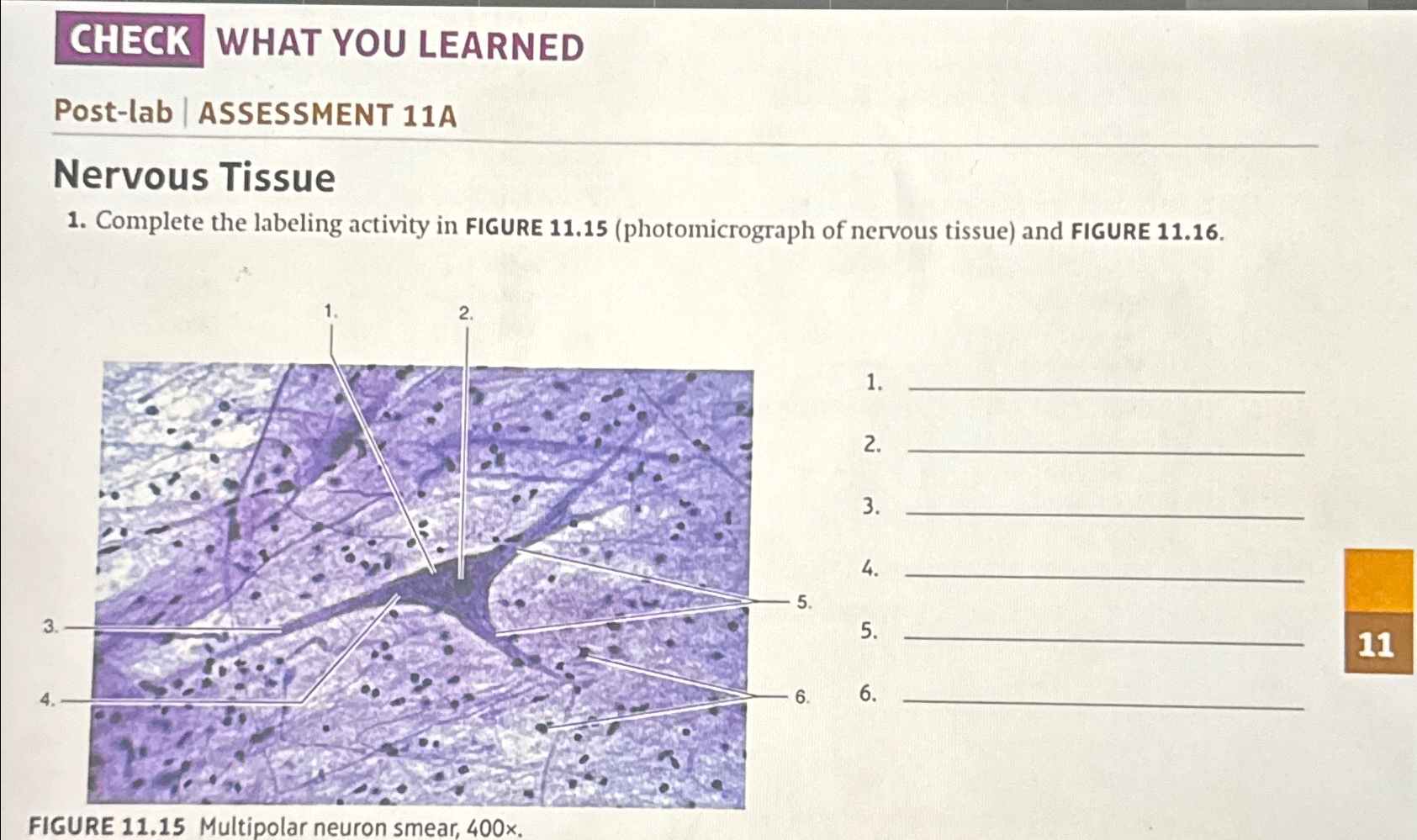 Solved CHECK WHAT YOU LEARNEDPost-lab | ﻿ASSESSMENT | Chegg.com