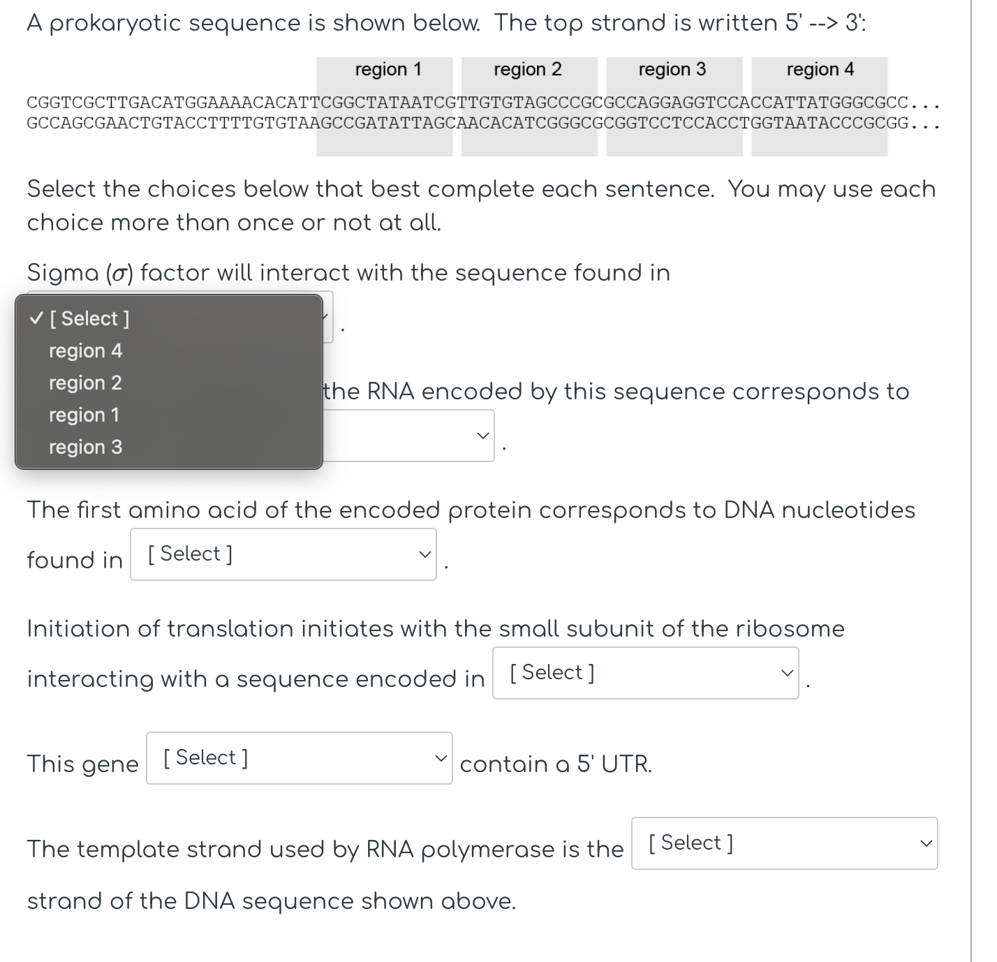 Solved A prokaryotic sequence is shown below. The top | Chegg.com