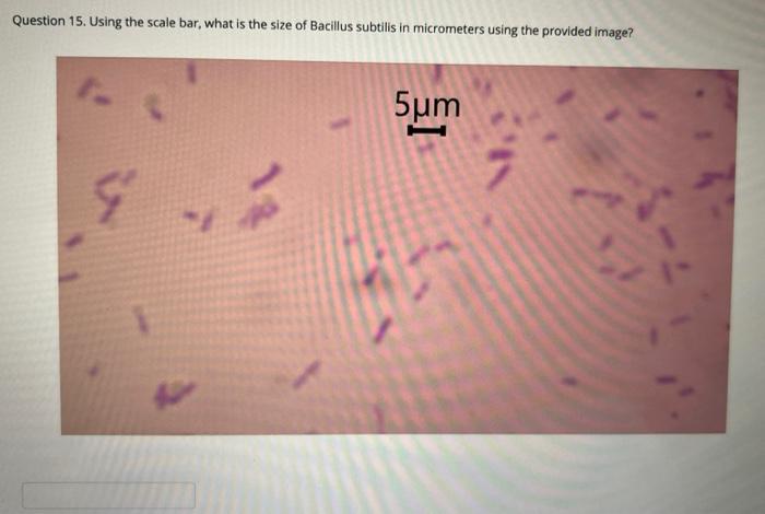Solved Question 12 Using The Scale Bar What Is The Size Of 