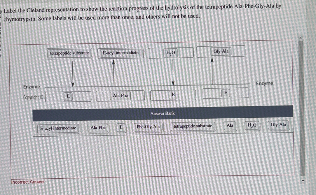 Solved Label the Cleland representation to show the reaction | Chegg.com