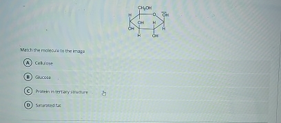 Solved Match the molecule to the imazecellureGlucoseProtein | Chegg.com
