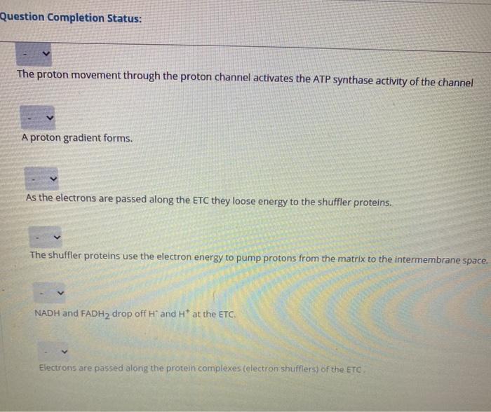 Solved Question Completion Status: HELTUIE Please place the | Chegg.com