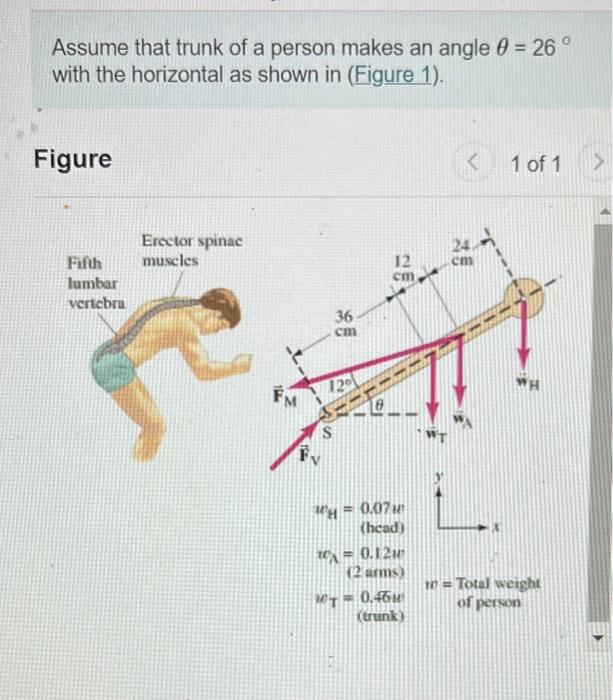 Solved Assume that trunk of a person makes an angle θ=26 | Chegg.com