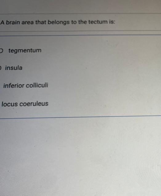 Solved A brain area that belongs to the tectum is: tegmentum | Chegg.com