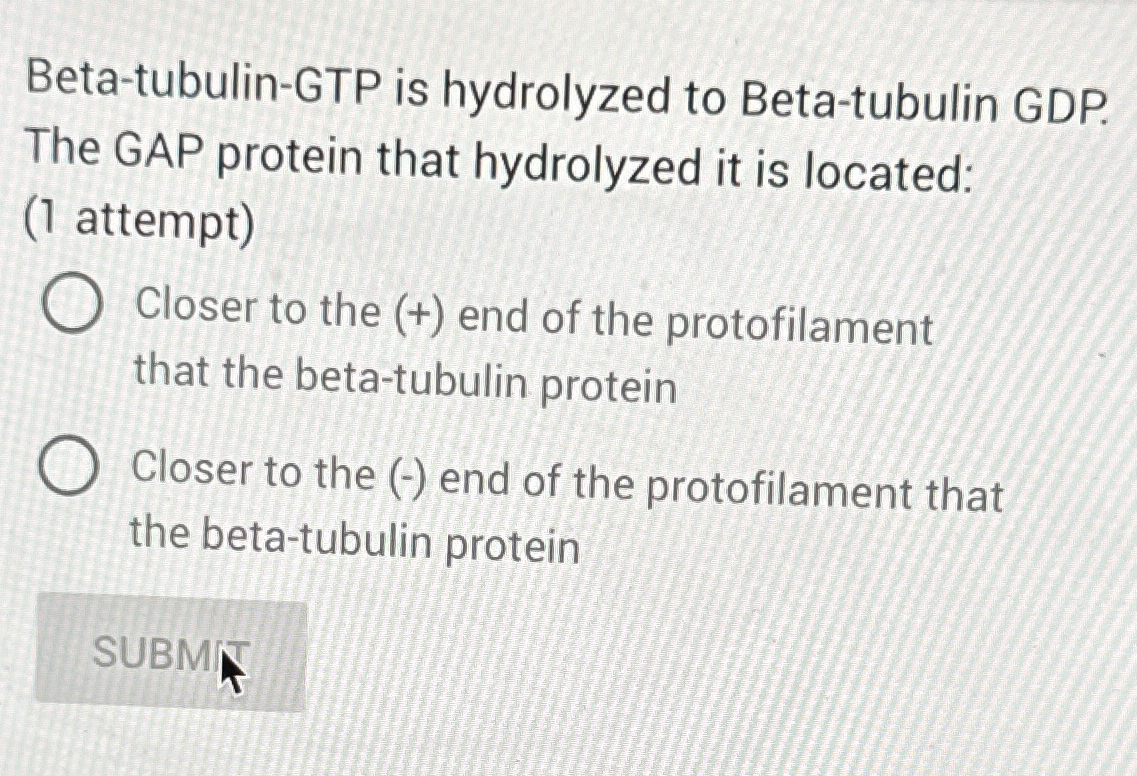 Solved Beta-tubulin-GTP is hydrolyzed to Beta-tubulin GDP. | Chegg.com