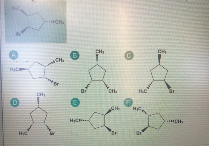 Solved Hsc > -CH3 Br CH3 А B CH3 Last Cha НЫС - CH3 Br CH3 | Chegg.com